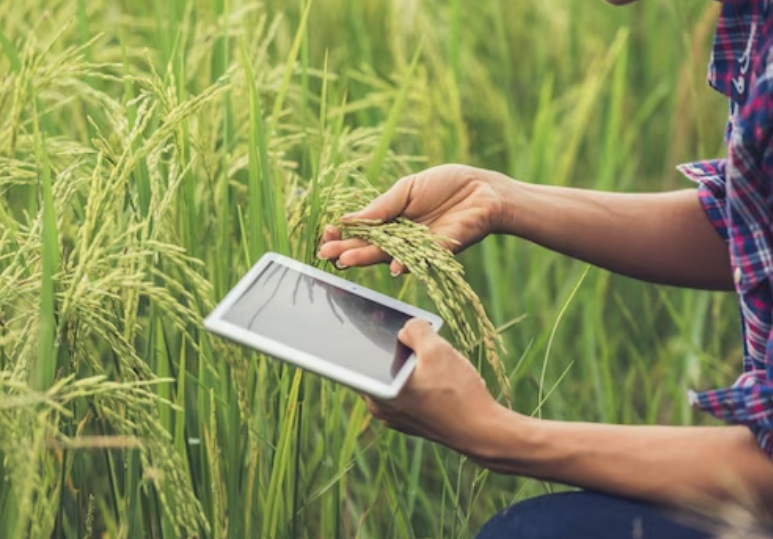 The Transformative Power of Grower Management Software in Modern ...